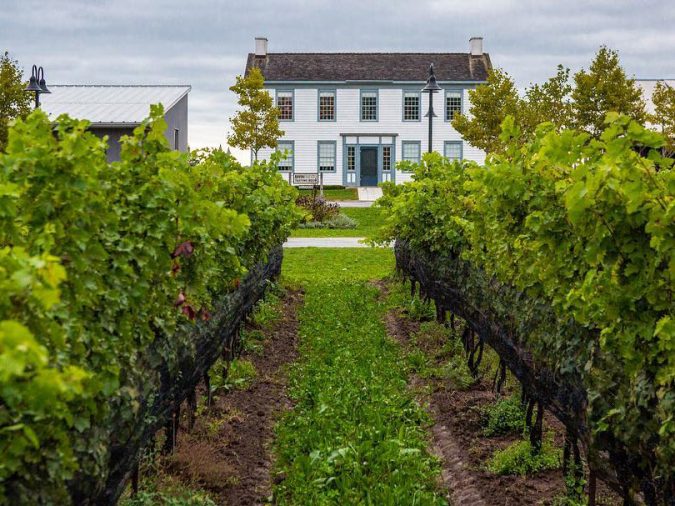 6 Of The Best Wineries You Can Drive to From Toronto