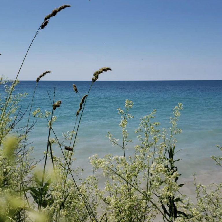 21 Of The Best Beaches To Visit This Summer In & Near Toronto