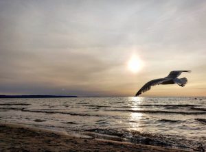 21 Of The Best Beaches To Visit This Summer In & Near Toronto