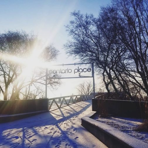 8 Free And Fun Things To Do Over March Break In Toronto