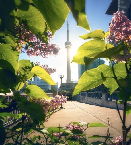 36 Socially-Distanced Things To Do In Toronto This Summer