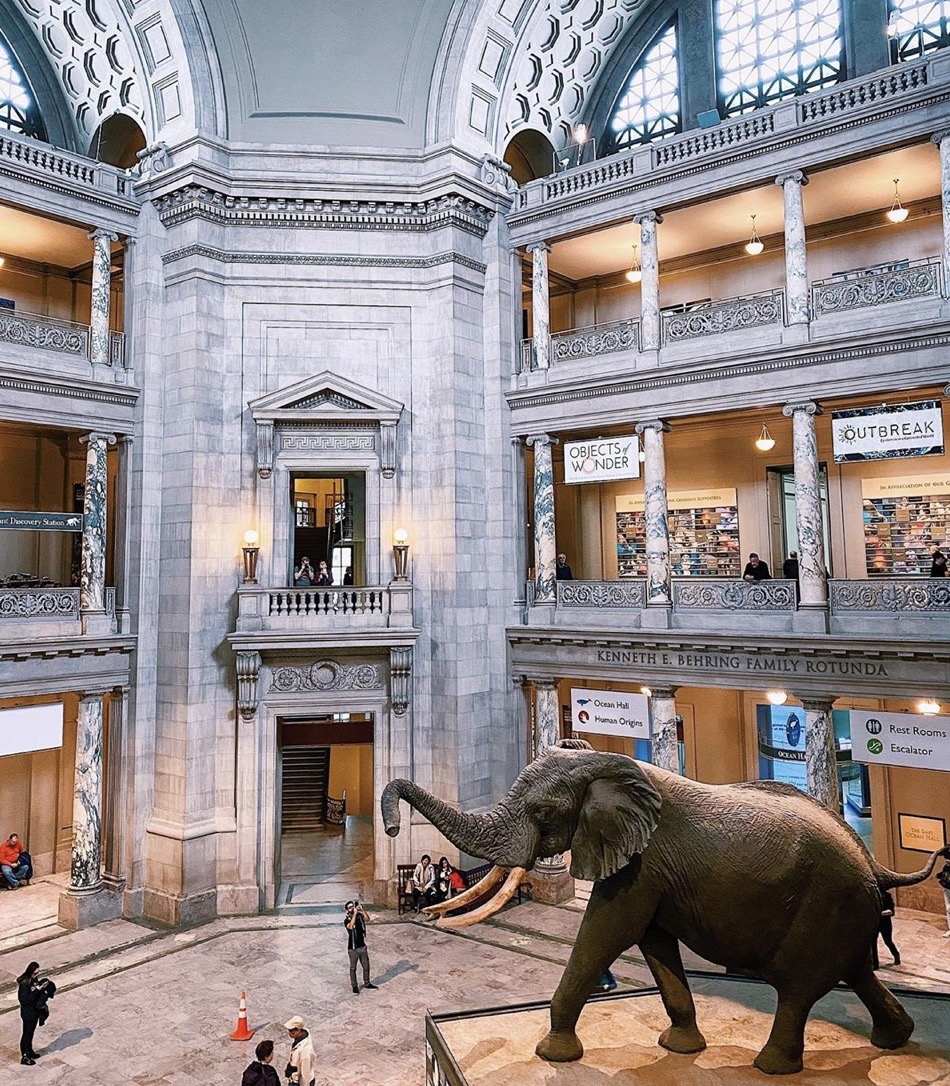 11 Virtual Tours To Check Out & Experience While Self-Isolating