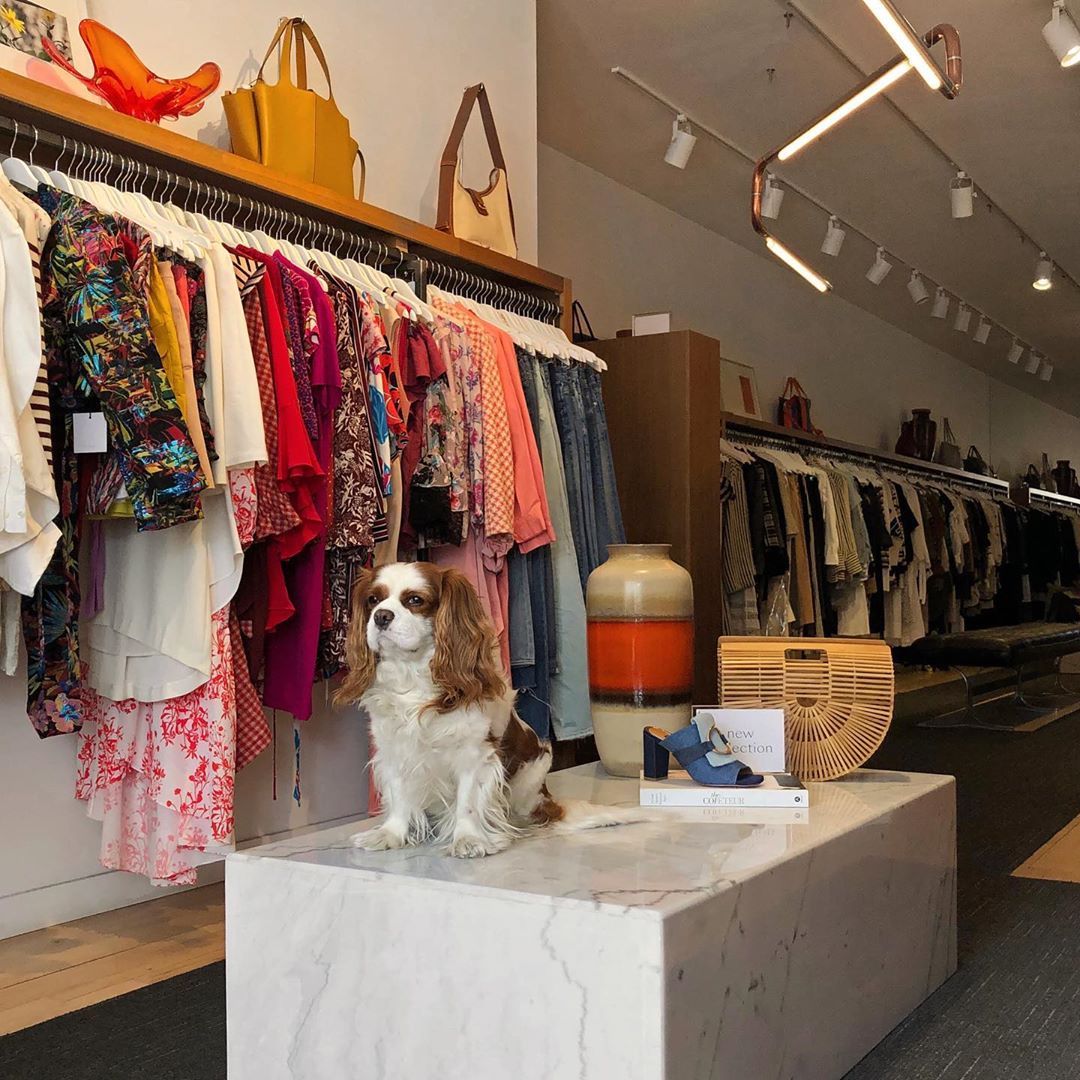 10 Canadian Womenswear Stores You Can Shop Online