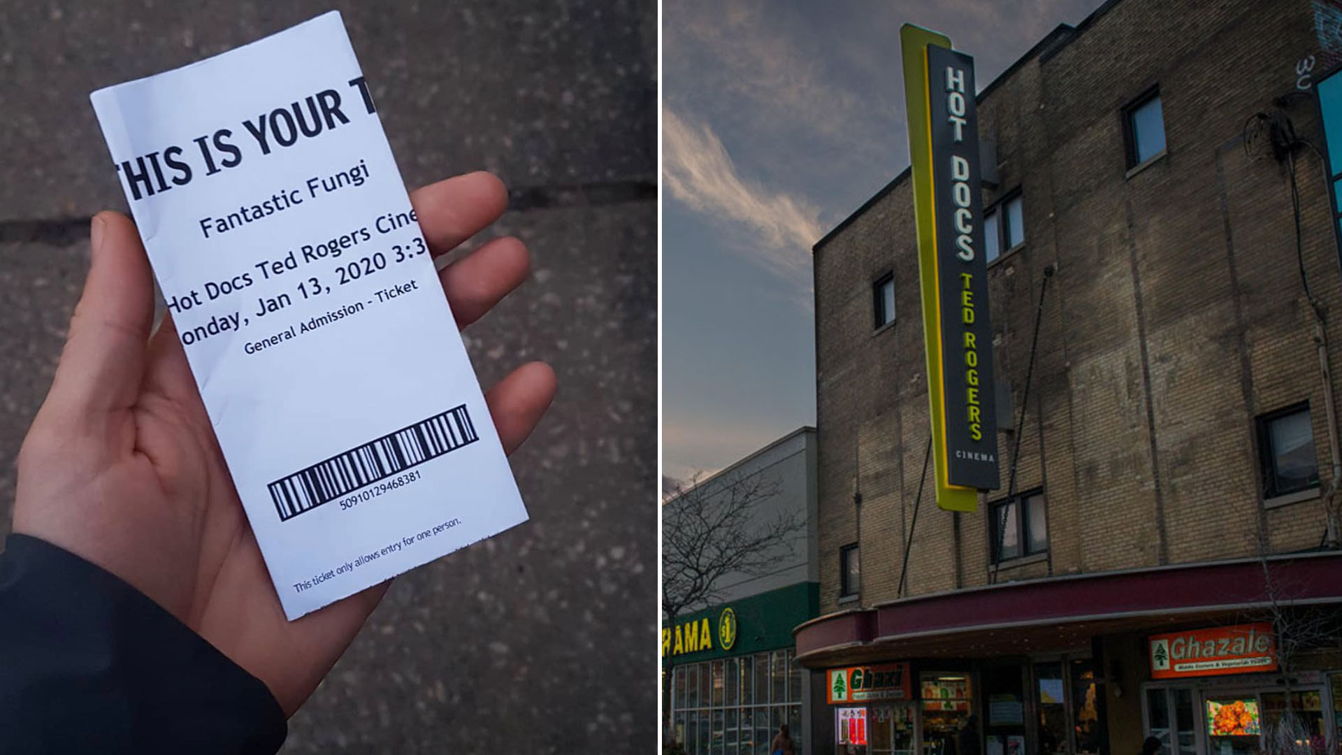 The Hot Docs Festival In Toronto Will Be Available Online This Year