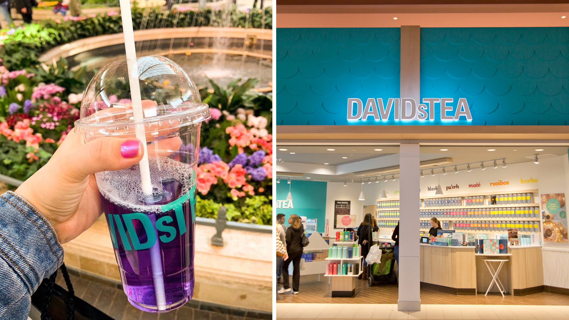 David's Tea To Close Stores As It Files For Bankruptcy Protection