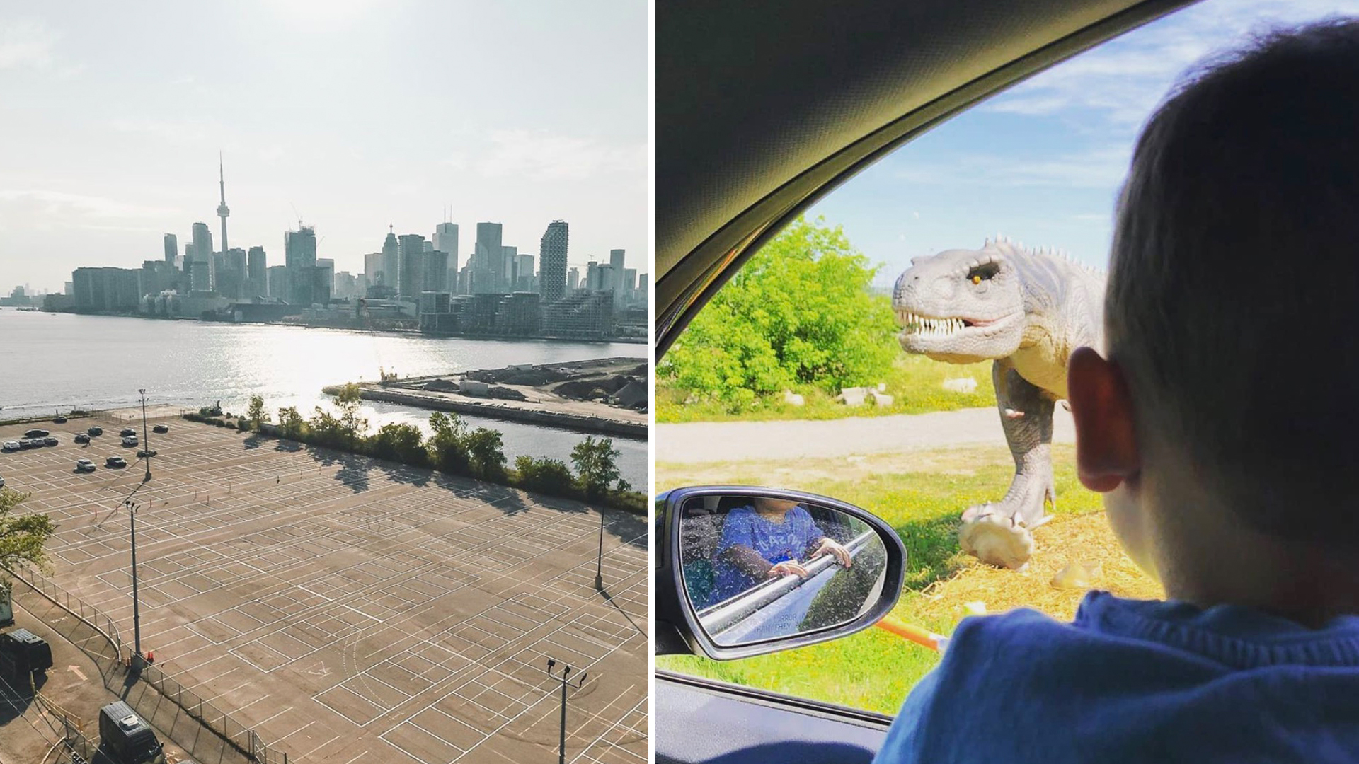 9 Drive-Through Attractions To Check Out In & Near The GTA