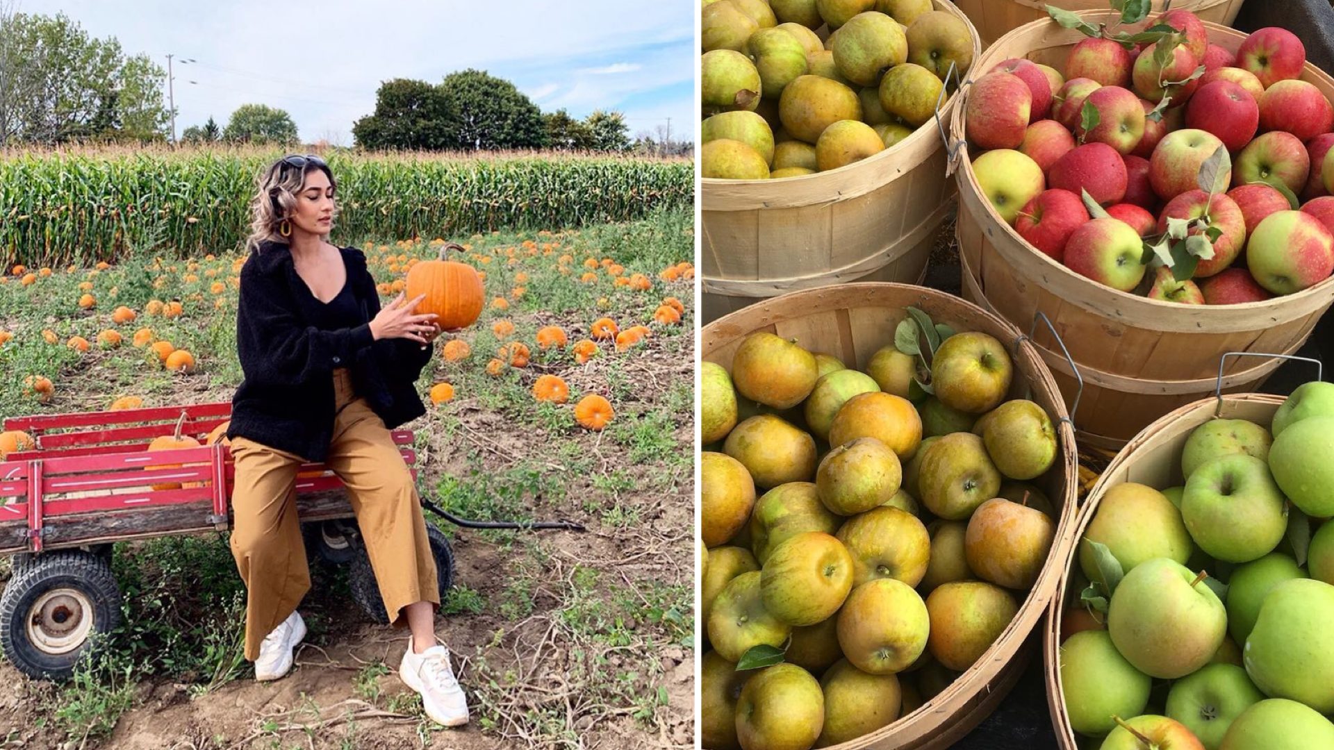 10 Affordable Fun Fall Activities To Do In Toronto The GTA 10-affordable-fun-fall-activities-to-do-in-toronto-the-gta