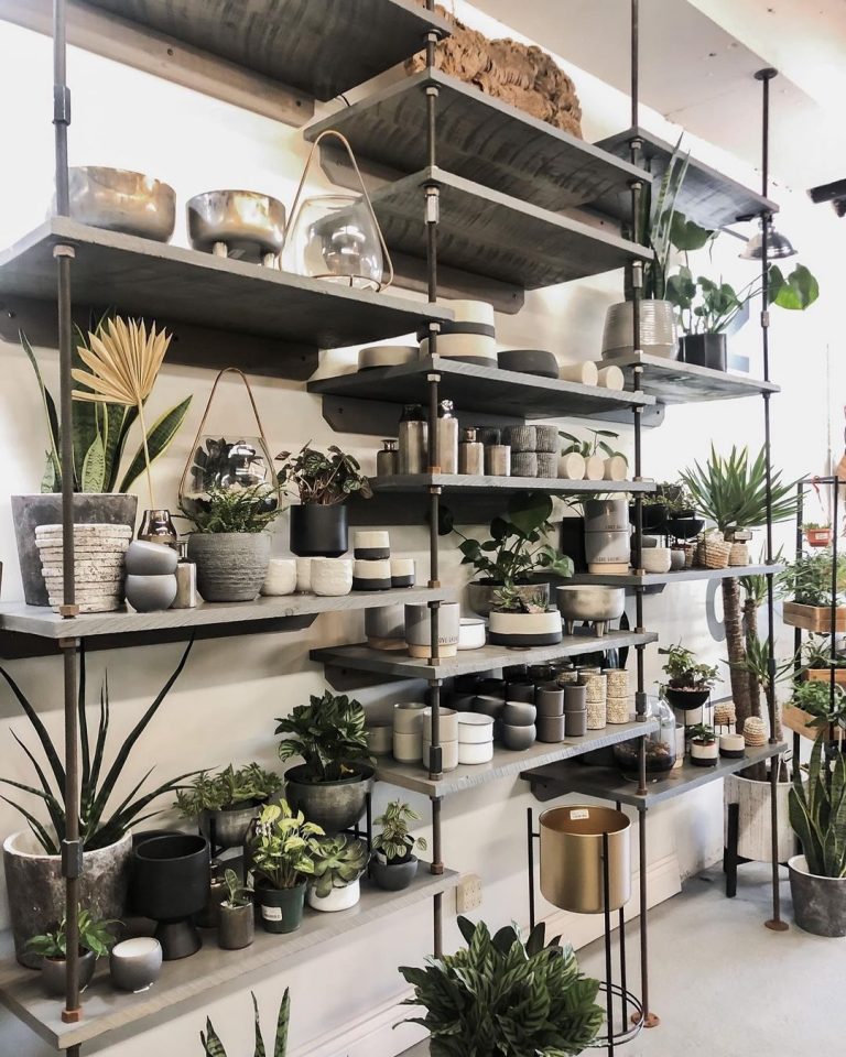 The Best Garden Stores to Check Out In Toronto And The GTA