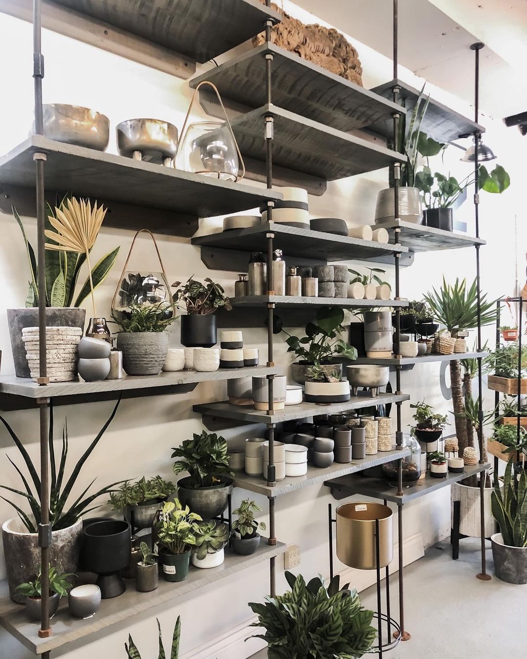 The Best Garden Stores to Check Out In Toronto And The GTA