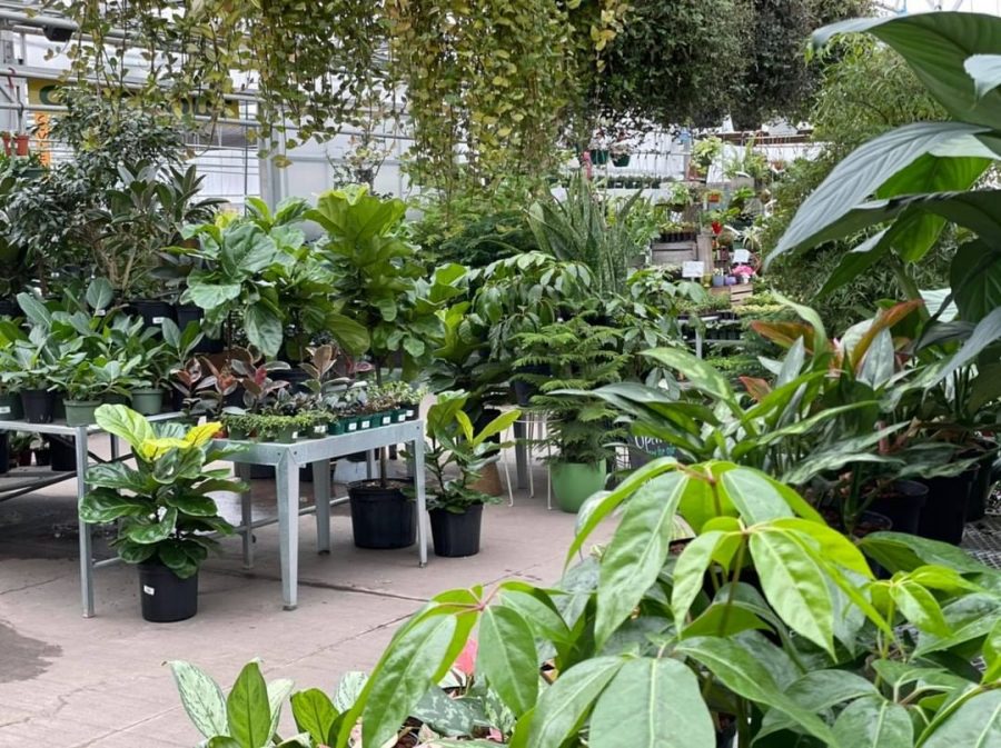 The Best Garden Stores to Check Out In Toronto And The GTA