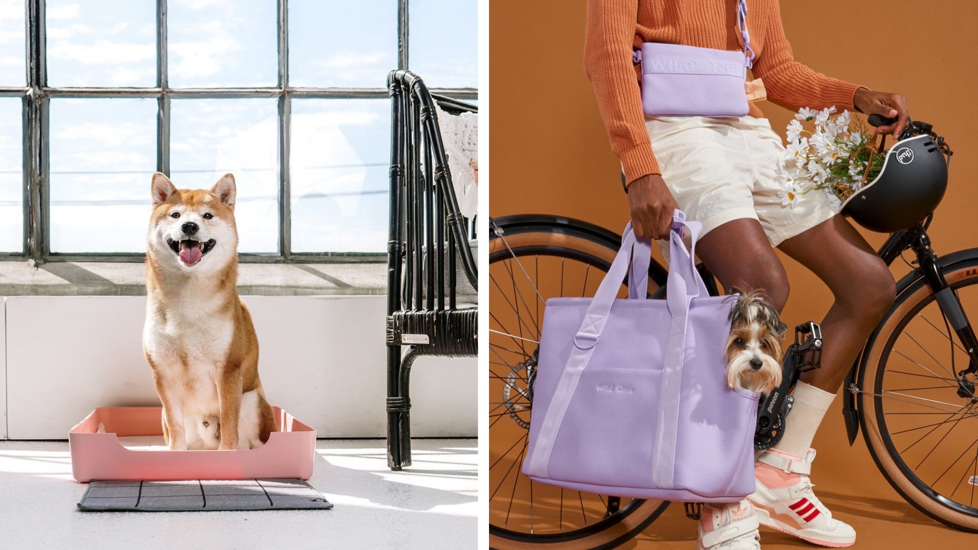 7 Of The Most Stylish Pet Brands That You Have To Check Out